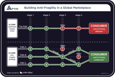 Anti-fragility-Graphic - PTIS